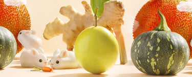 Our Story – Cocoon Original